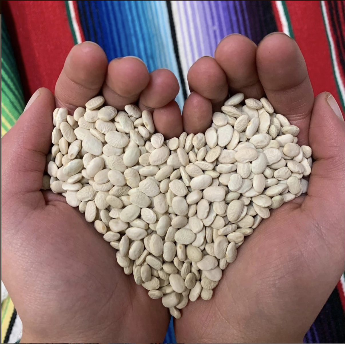 Exploring Our Local Native Food System – Sustainable Tucson